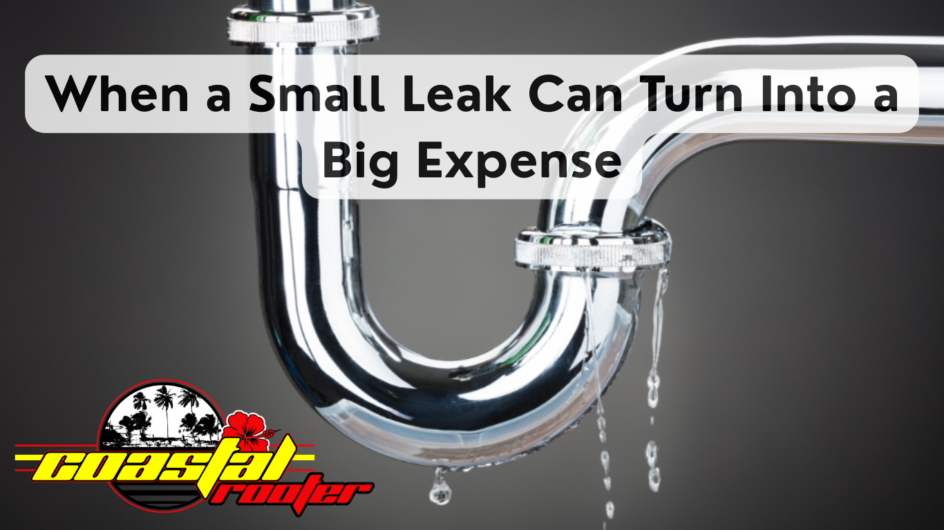 When a Small Plumbing Leak Can Turn Into a Big Expense | Coastal Rooter